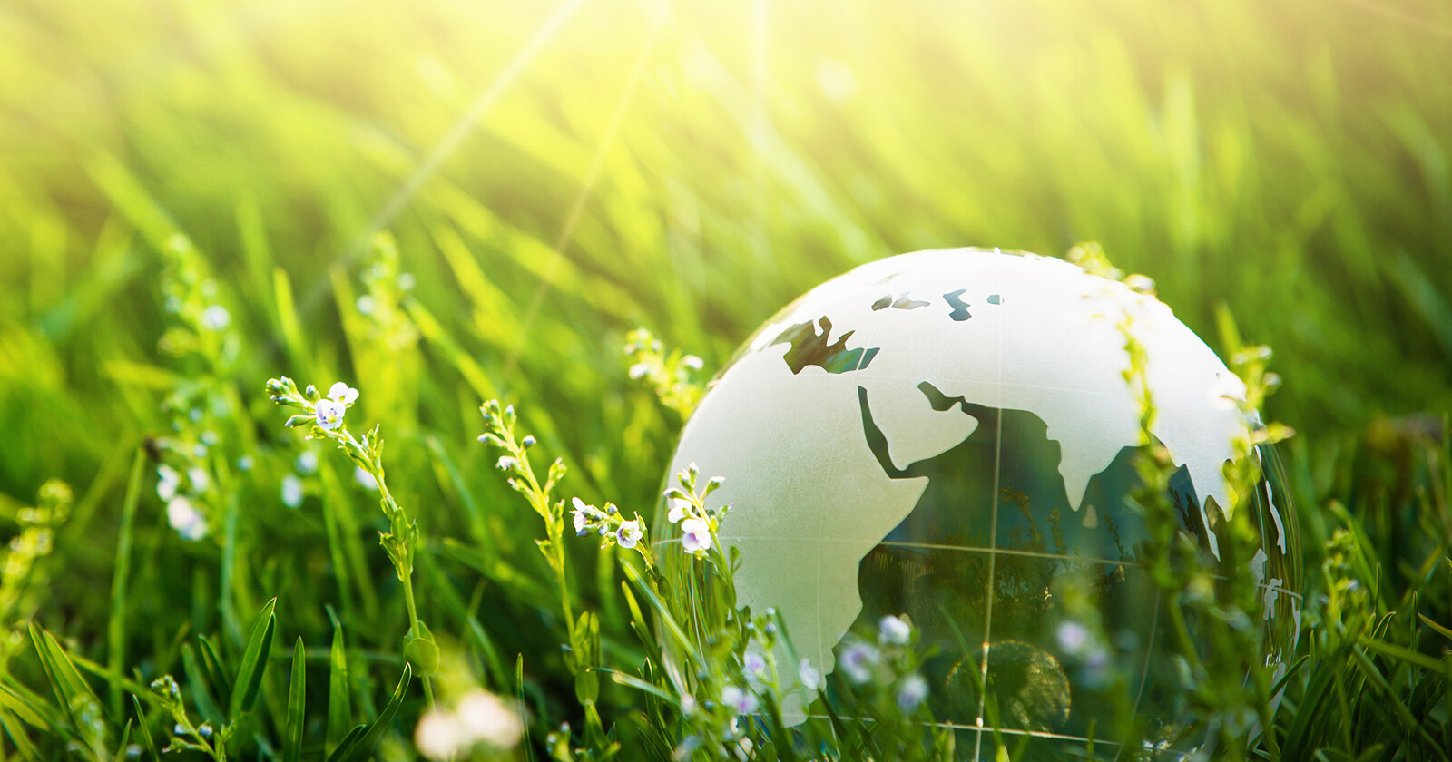 Bescherming van het milieu | Simpson Strong-Tie